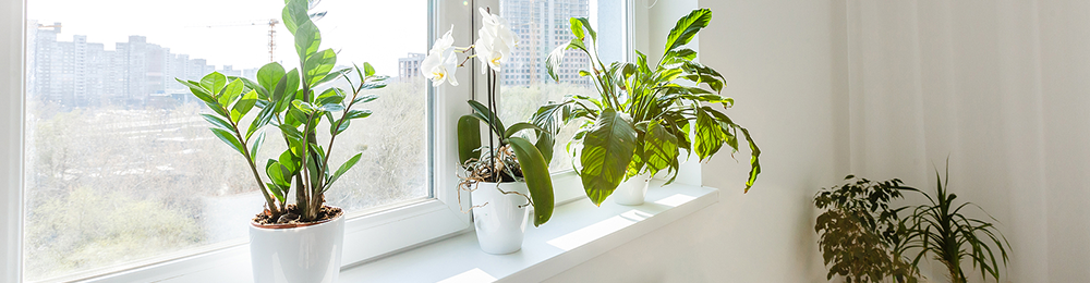 Label intAIRieur® pour valoriser la QAI